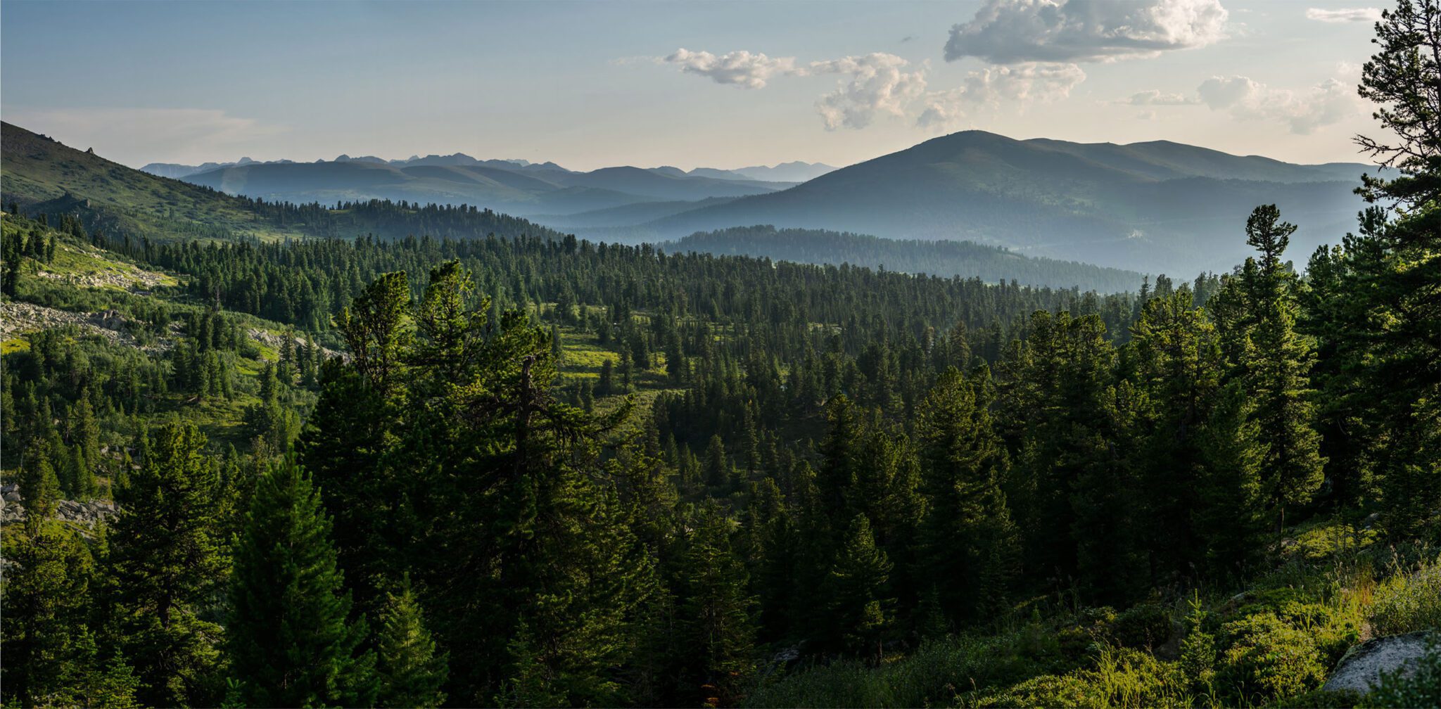 About us – The Malvern Collection